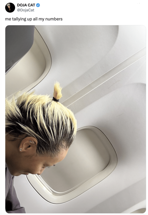 Doja Cat Mocks Her Own 'Vie' Album Sales, Searches "Under the Couch for ...